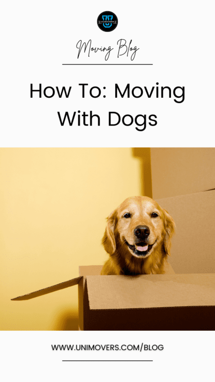 How To: Moving With Dogs • UniMovers