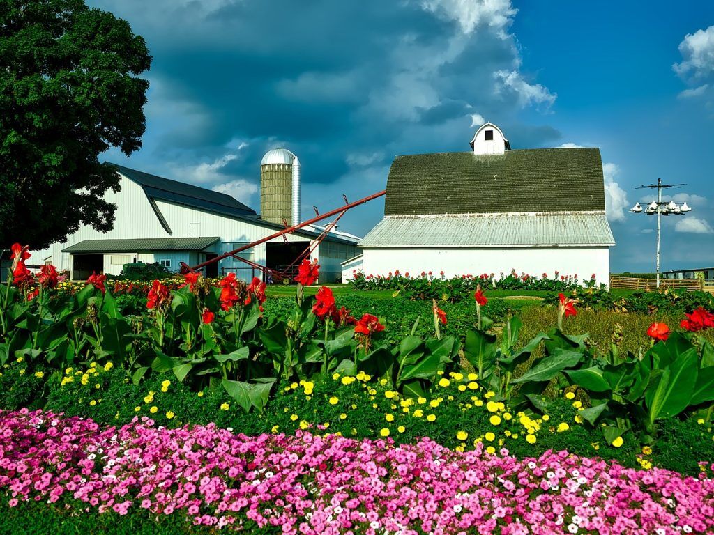 A Complete Guide to Successfully Moving to Iowa • UniMovers